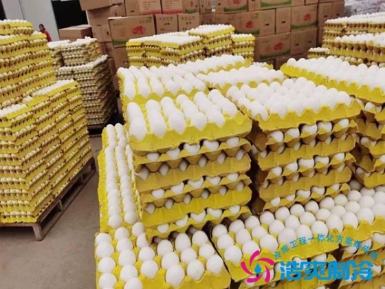 How Much Does It Cost to Build an Egg Cold Storage? | Cost per Square ...
